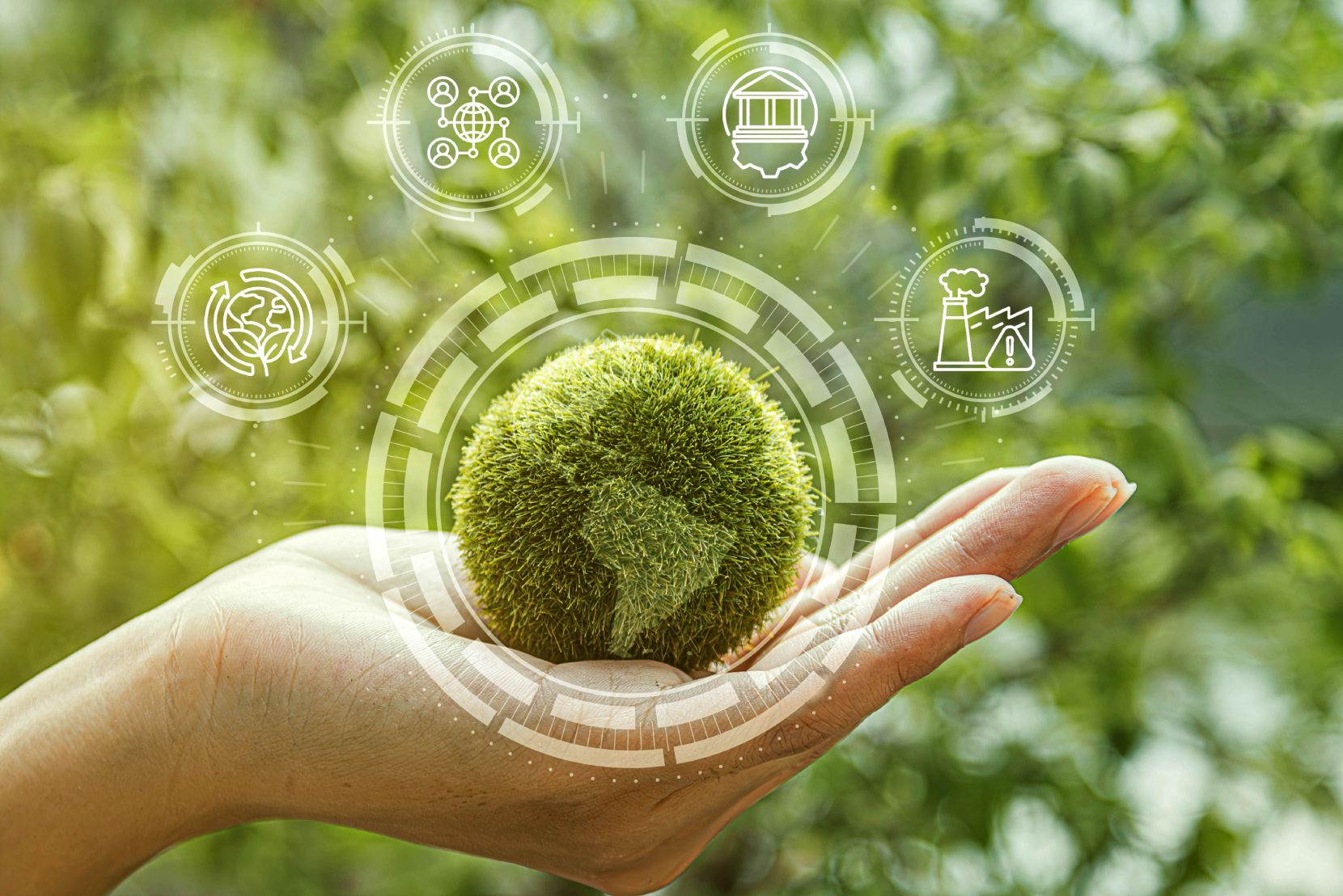 Contributing to Sustainability with Green Software | NTT DATA Group
