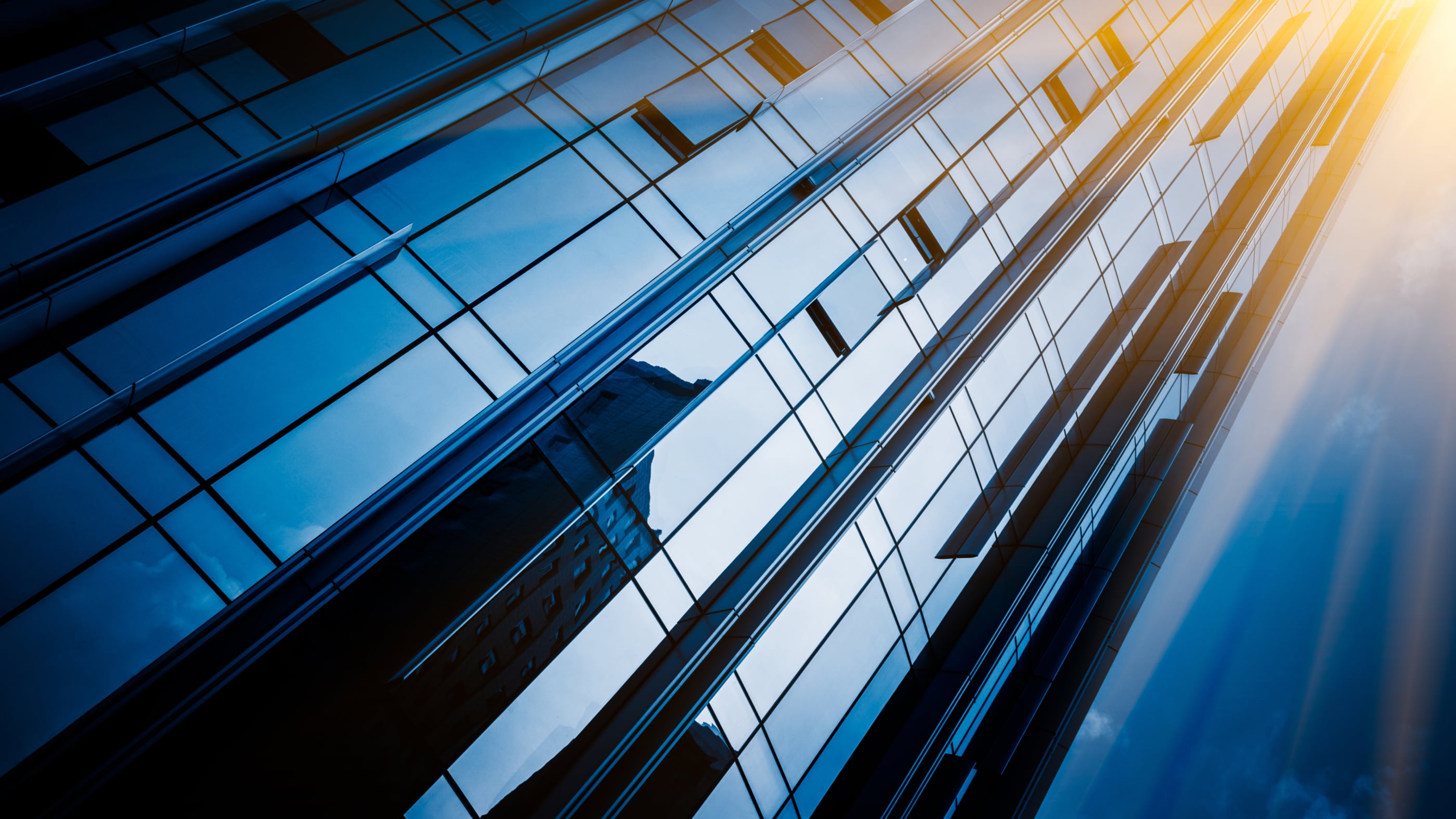 NTT DATA named a Leader by Everest Group | NTT DATA Group