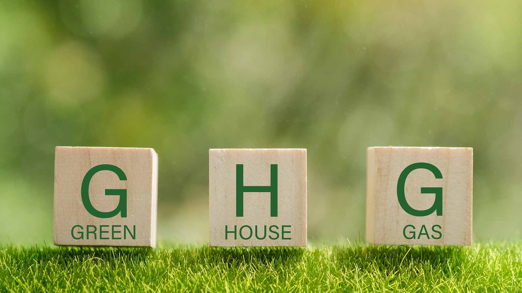 CDPと共に歩むGHG排出量可視化への取り組みとは | DATA INSIGHT | NTTデータ - NTT DATA