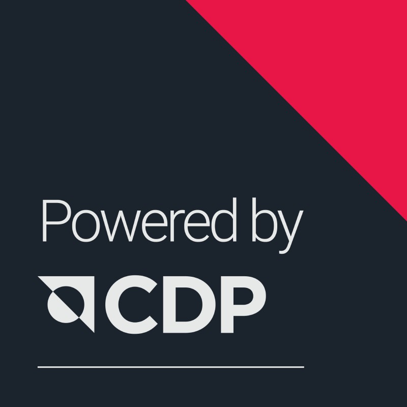 C-Turtle® | NTTデータ - NTT DATA